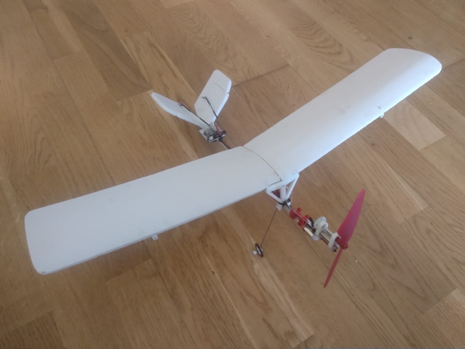 WASP - an RC lightweight plane - 3DPEA