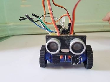 RowBot (robot suitable for swarm applications) - 3DPEA